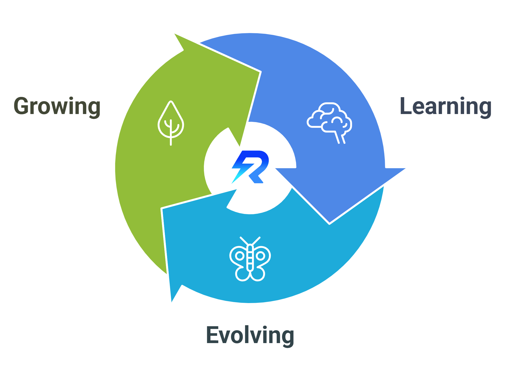 Learning, Evolving, and Growing: RapL’s Vision for 2025
